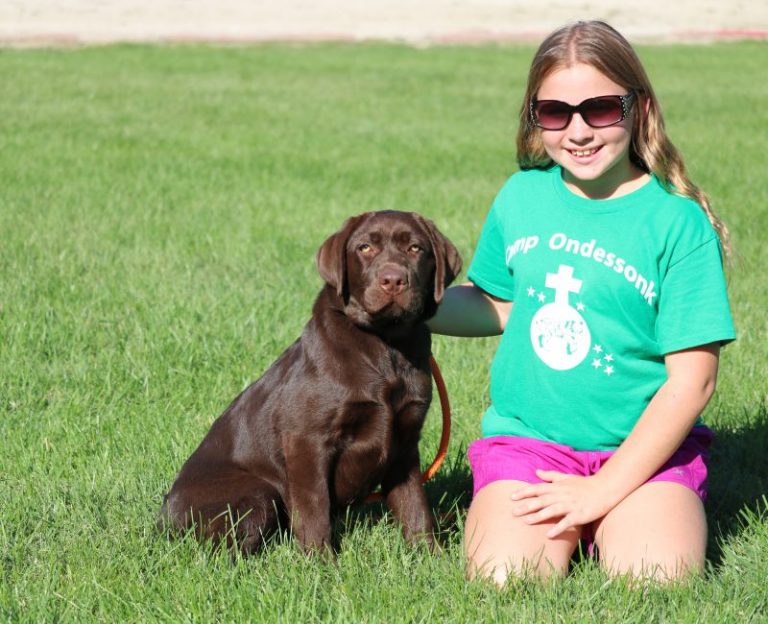 Lab Puppies Chicago and St. Louis | Labrador Retrievers